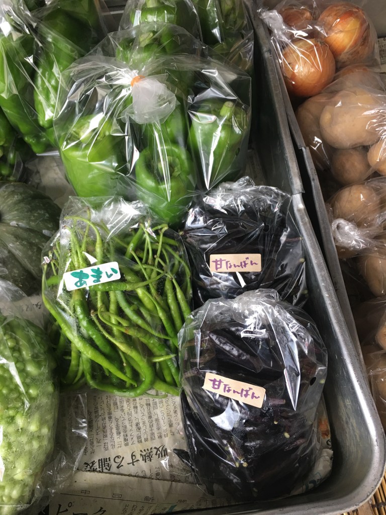 8 Things To Love About the Japanese Countryside 田舎 – West Coast to Far East